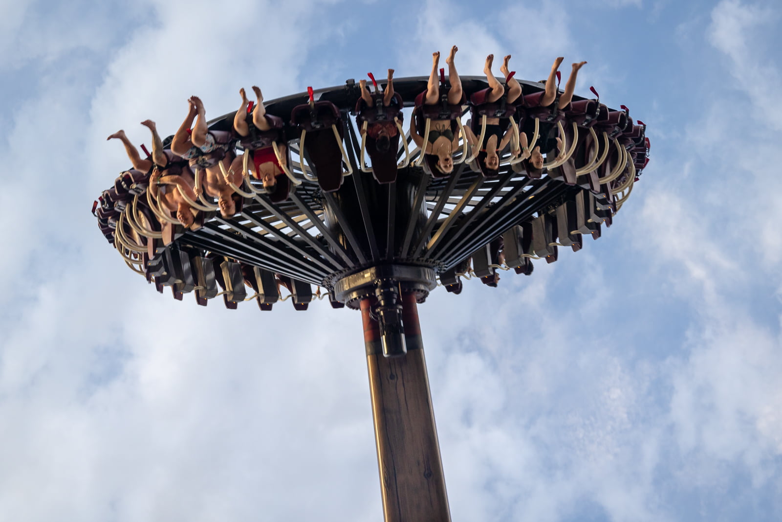Adventure World & Staff Christmas Party | Wormall Civil
